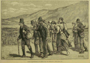 Farmers without a farm: Researching rural Irish ancestors - The Cuckoo Tree